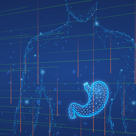 Gastroenterology - Specialty Networks